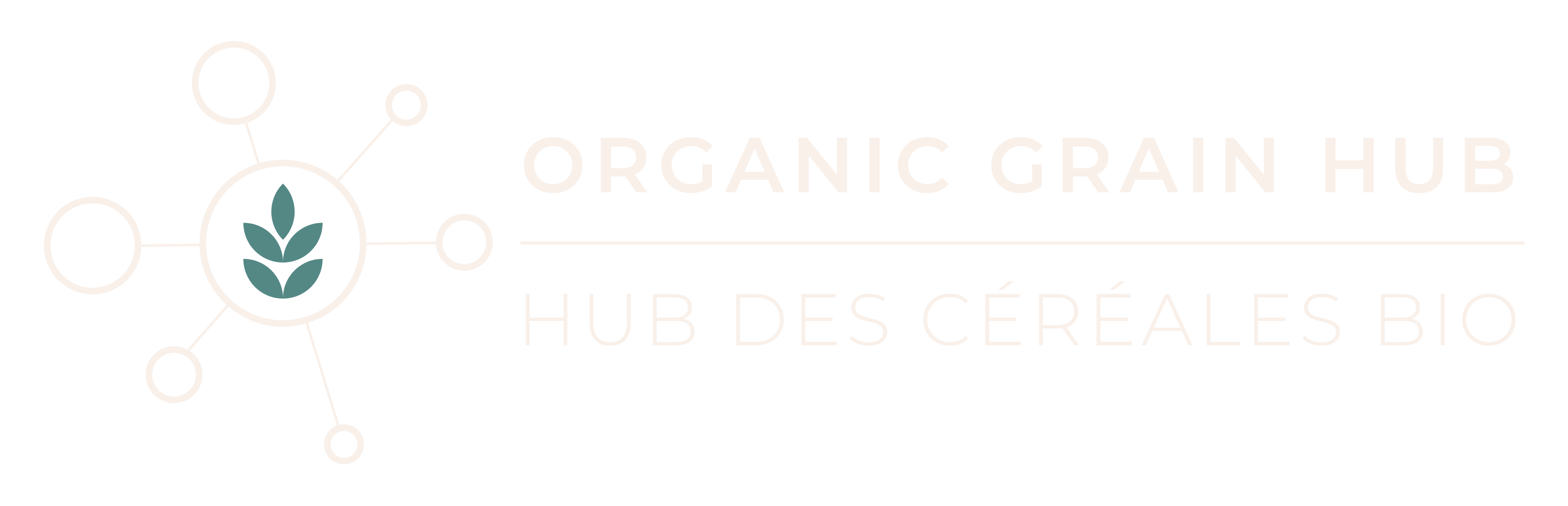 Organic Grain Hub Sunrise Foods International